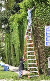 Image result for Environmental Conditions When Using a Ladder