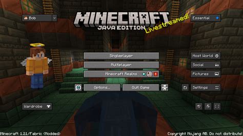 Image result for What Is Minecraft Essential Mod