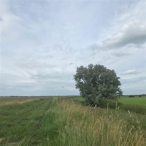 Image result for Snapseed Tutorial