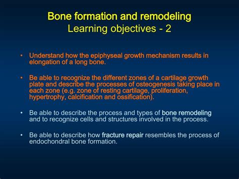 Image result for Bone Formation Learning