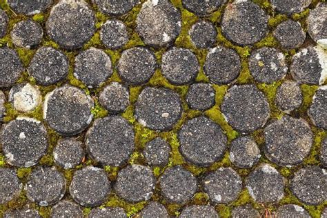 Image result for Minecraft Path Block Texture