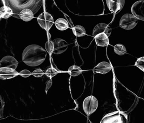 Image result for Sequential Deep Learning Model