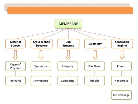 Image result for Classification and Codification for PPT