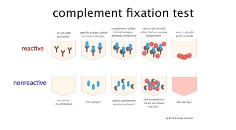 Image result for CFT Test Complement Fisation Test