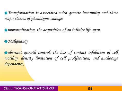 Image result for Cell Transformation