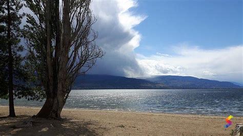 Image result for Run Program Splendid