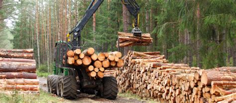 Image result for Selective Logging