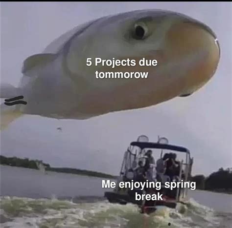 Image result for Spring Break Is Over Meme
