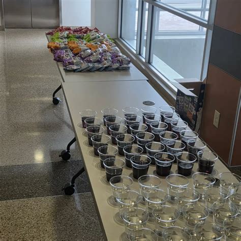 Image result for Rainbow Connection Camp Logo