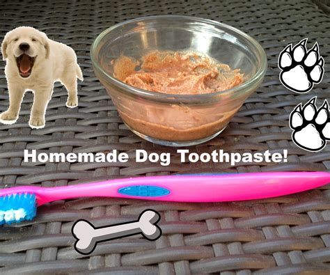 Image result for Homemade Toothpaste for Dogs