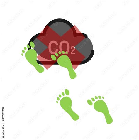 Image result for Zero Net Carbon Explained