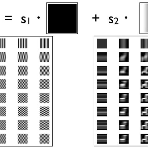 Image result for Basis Function Examples