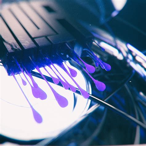 Image result for Inertia Client Download Tutorial