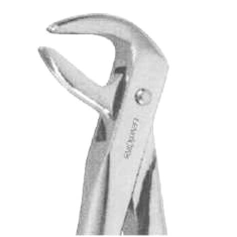 Image result for Extracting Forceps