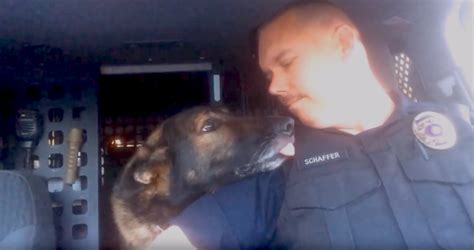 Image result for K9 Call Out Script