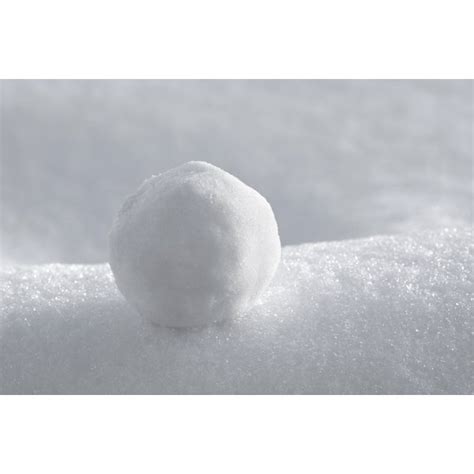 Image result for Snowball Sampling Advantages and Disadvantages