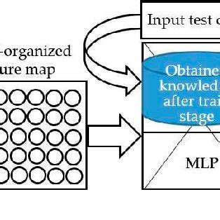 Image result for Classification of Neural Network
