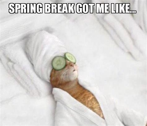 Image result for Spring Break Humor