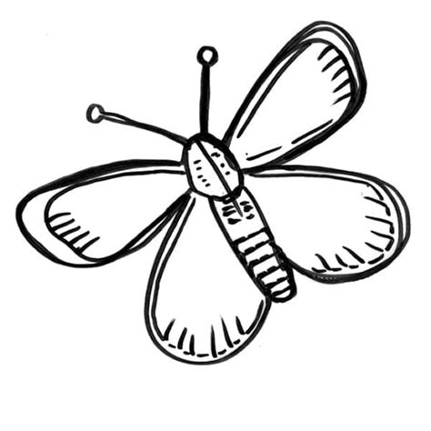 Butterfly Drawing coloring page - Download, Print or Color Online for Free