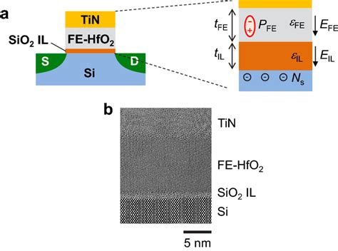 Image result for HfO2 Fefet