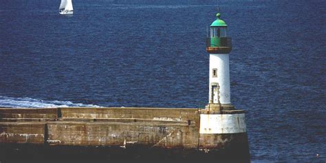 Image result for Word Plugin