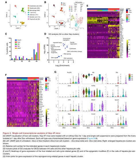 Image result for Partial Reprogramming