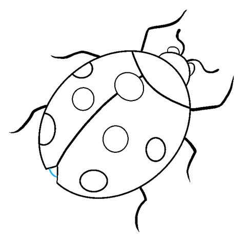 Image result for Ladybug Simple Drawing