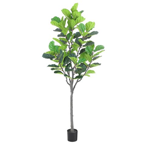 Image result for Fake Fiddle Fig Tree