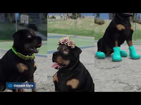 Image result for Fivem Pet Script