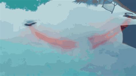 Image result for Vortex Pool