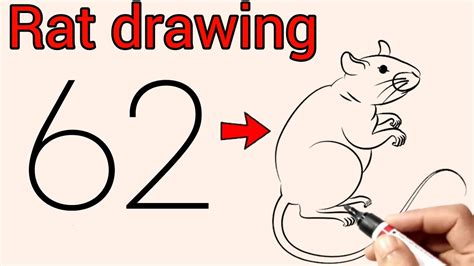 Image result for Rat Drawing Tutorial