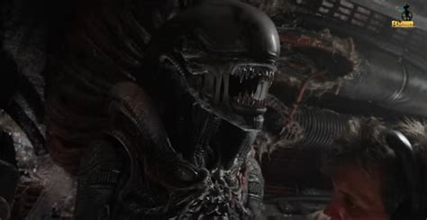 Image result for Alien Romulus Scenes Clip