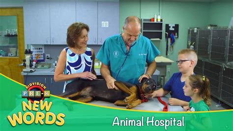 Image result for KidVision Real Animals