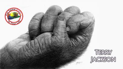 Image result for Graphite Drawing of Owl