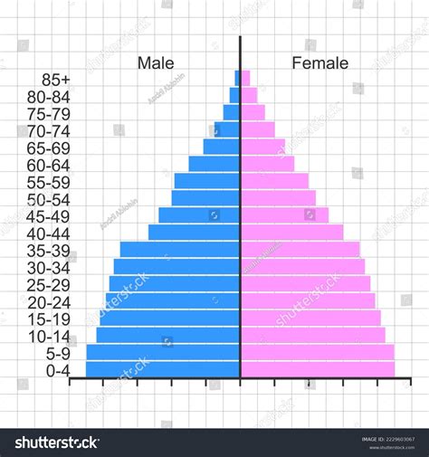 Image result for How to Create a Population Pyramid
