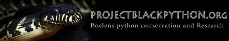 Image result for Boelen's Python
