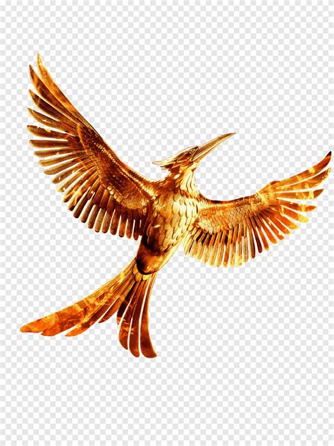 Image result for Mockingjay Bird Drawing