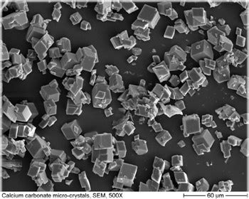 Image result for Scanning Electron Spectroscopy