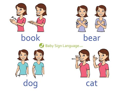 Image result for Baby Sign Language Basics