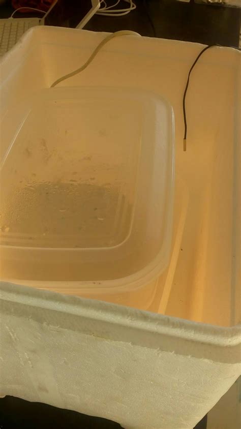 Making Bread and Brewing Beer: Diy Proofing Box