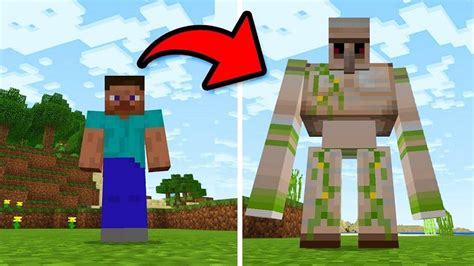 Image result for Best Morph Mod for Minecraft Java 1.16.5