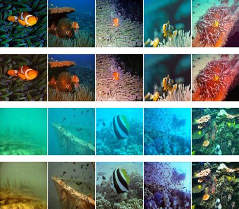 Image result for Image Net Dataset Image Examples