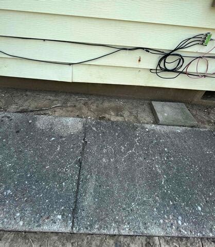 Image result for Back Crawl Entry