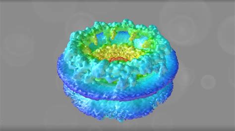 Image result for Model of Nuclear Pore Complex