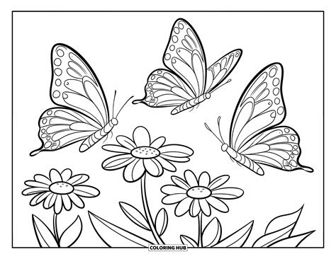 Image result for Shutterfly Coloring Pages