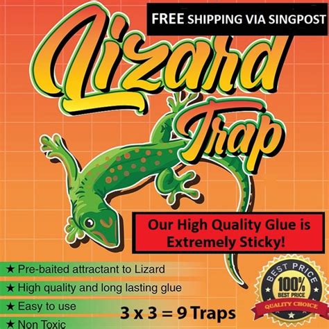 Image result for Go Lizard Trap