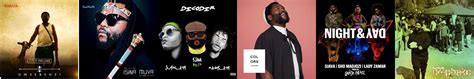 Image result for Sjava Tee