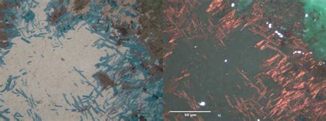 Image result for Copper Under Microscope