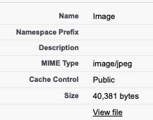 Image result for Lightning Web Component How to Display Objects and Its Fields
