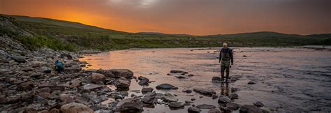 Image result for Vision Hybrid Fly Line